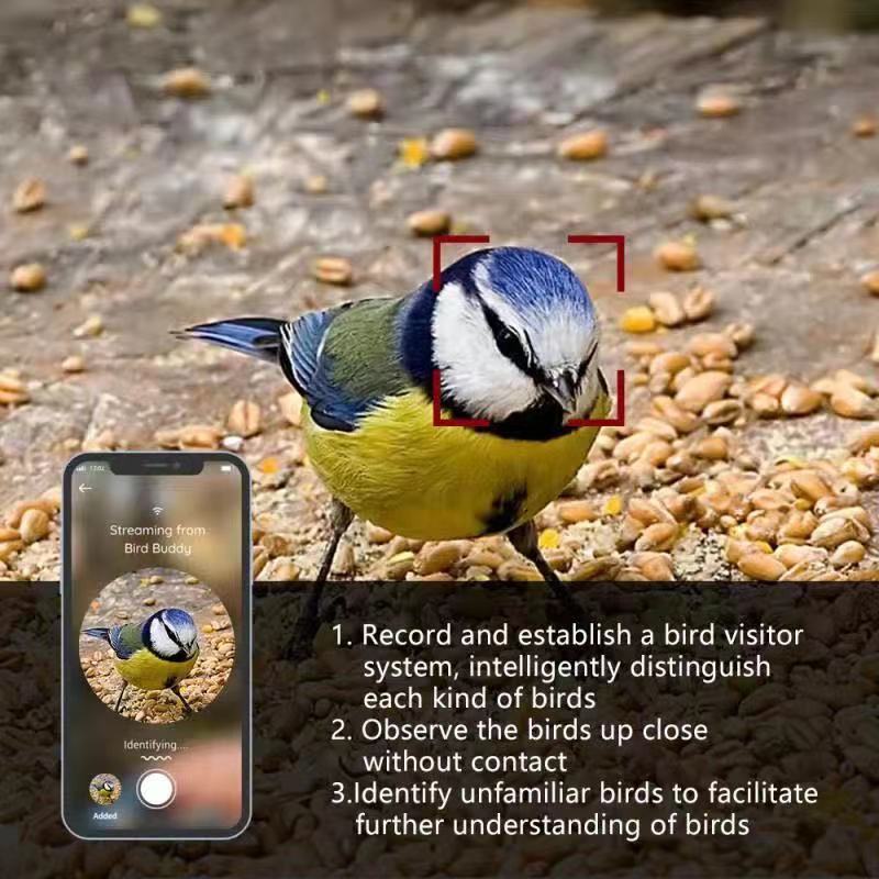 How to identify a bird with its shape, color, size, habitat, behavior
